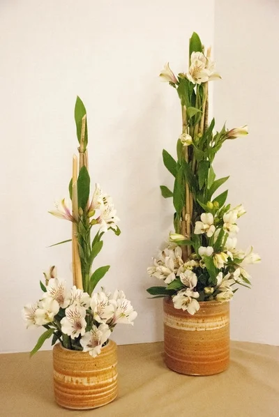 Spatial Thrust Design — Beverley Hills Garden Club