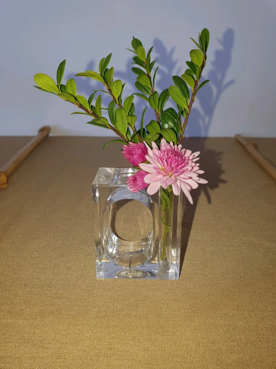 Spatial Thrust Design — Beverley Hills Garden Club