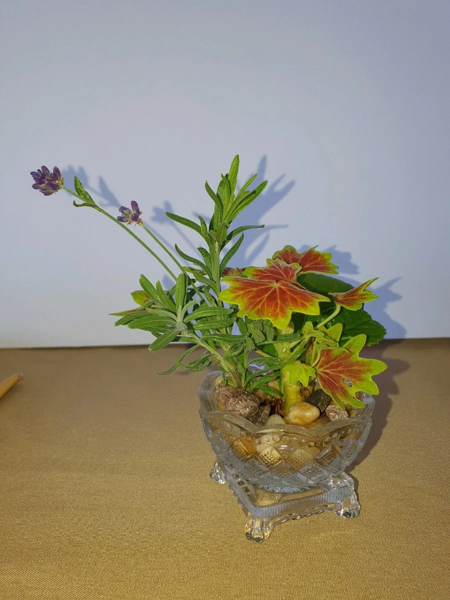 Spatial Thrust Design — Beverley Hills Garden Club