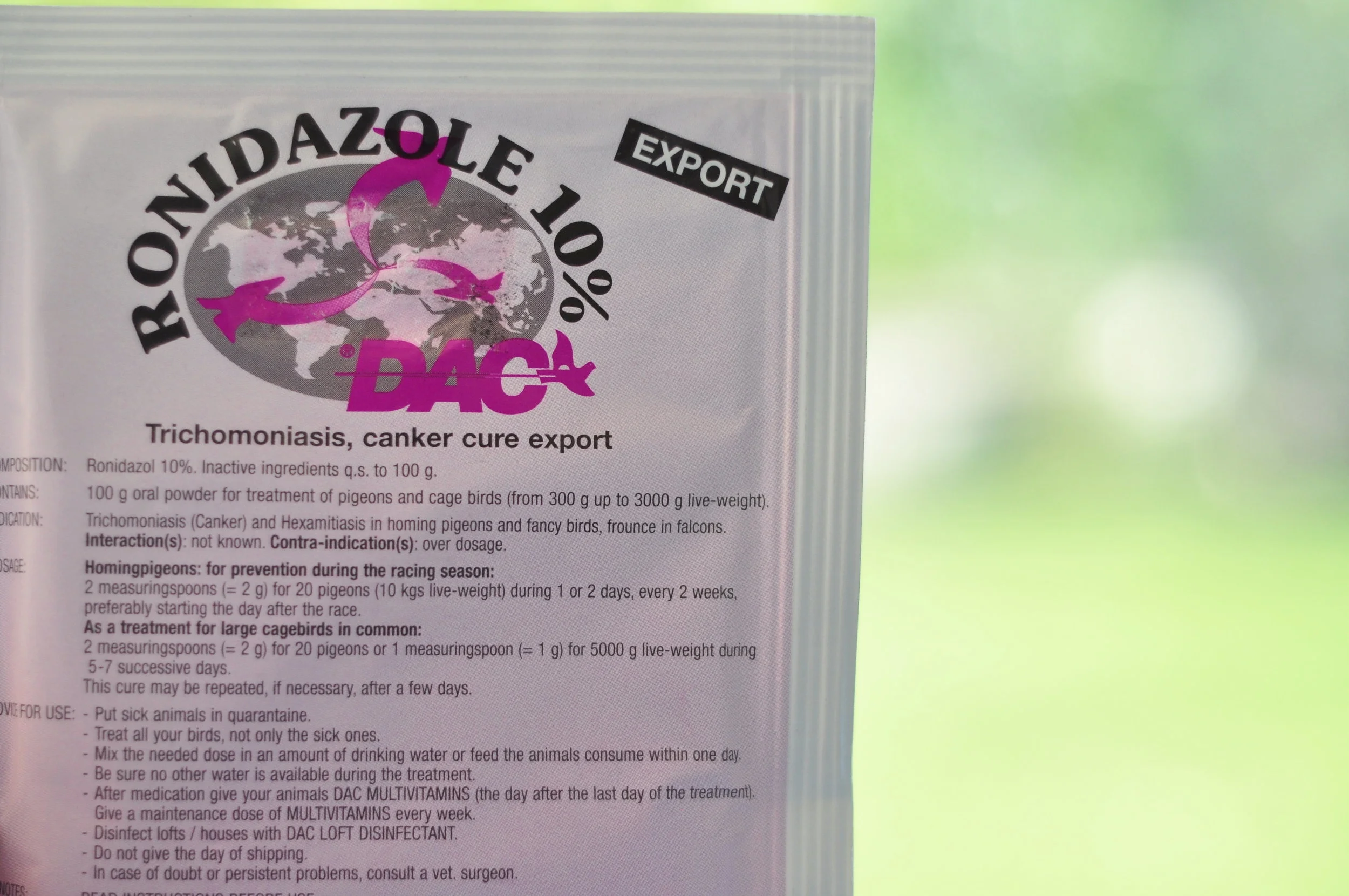 ACE PIGEONS BIRD SUPPLY STORE l Winning Pigeons Prefer ACE l Lowest ...