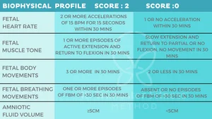What is a Biophysical Profile test in pregnancy? — 4th Trimester ...