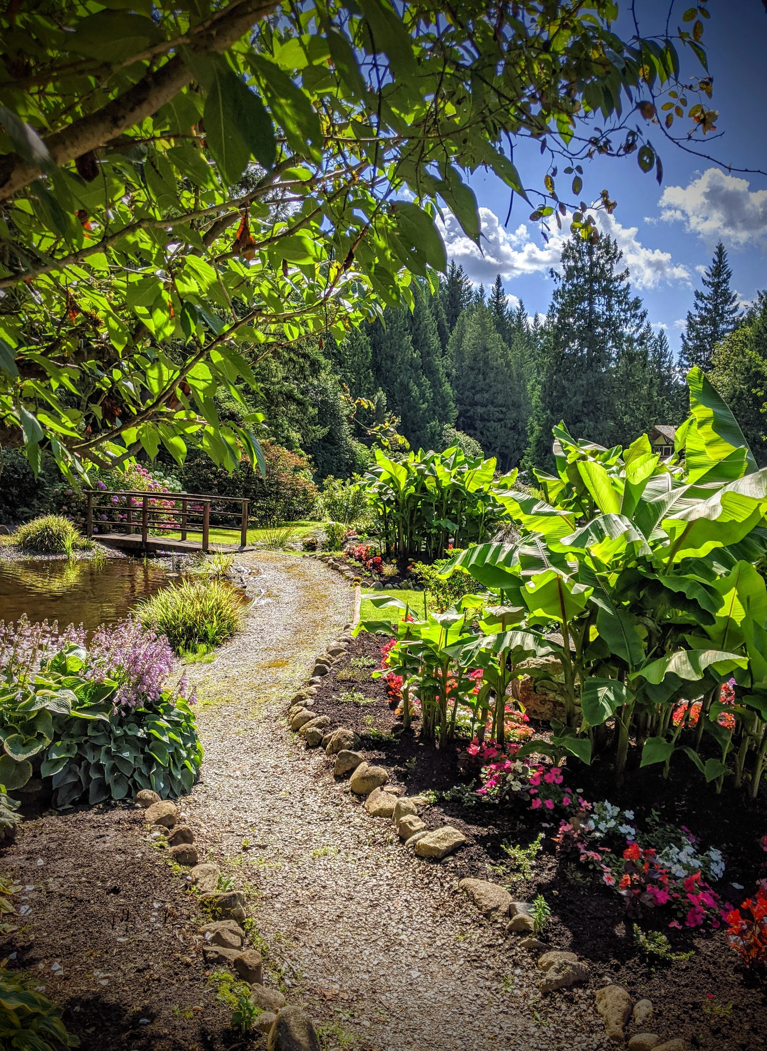 ABOUT — Cedar Springs
