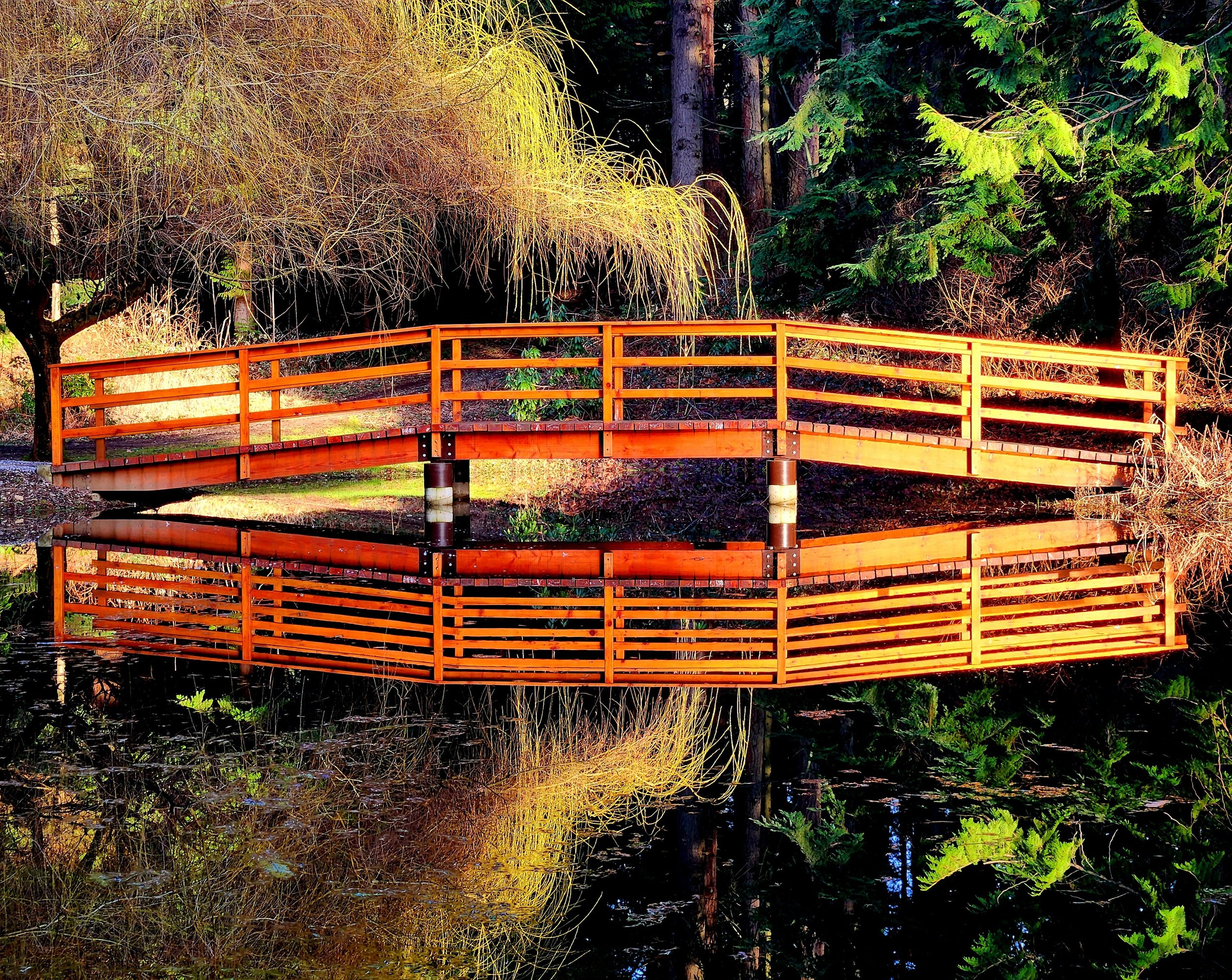 GALLERY — Cedar Springs