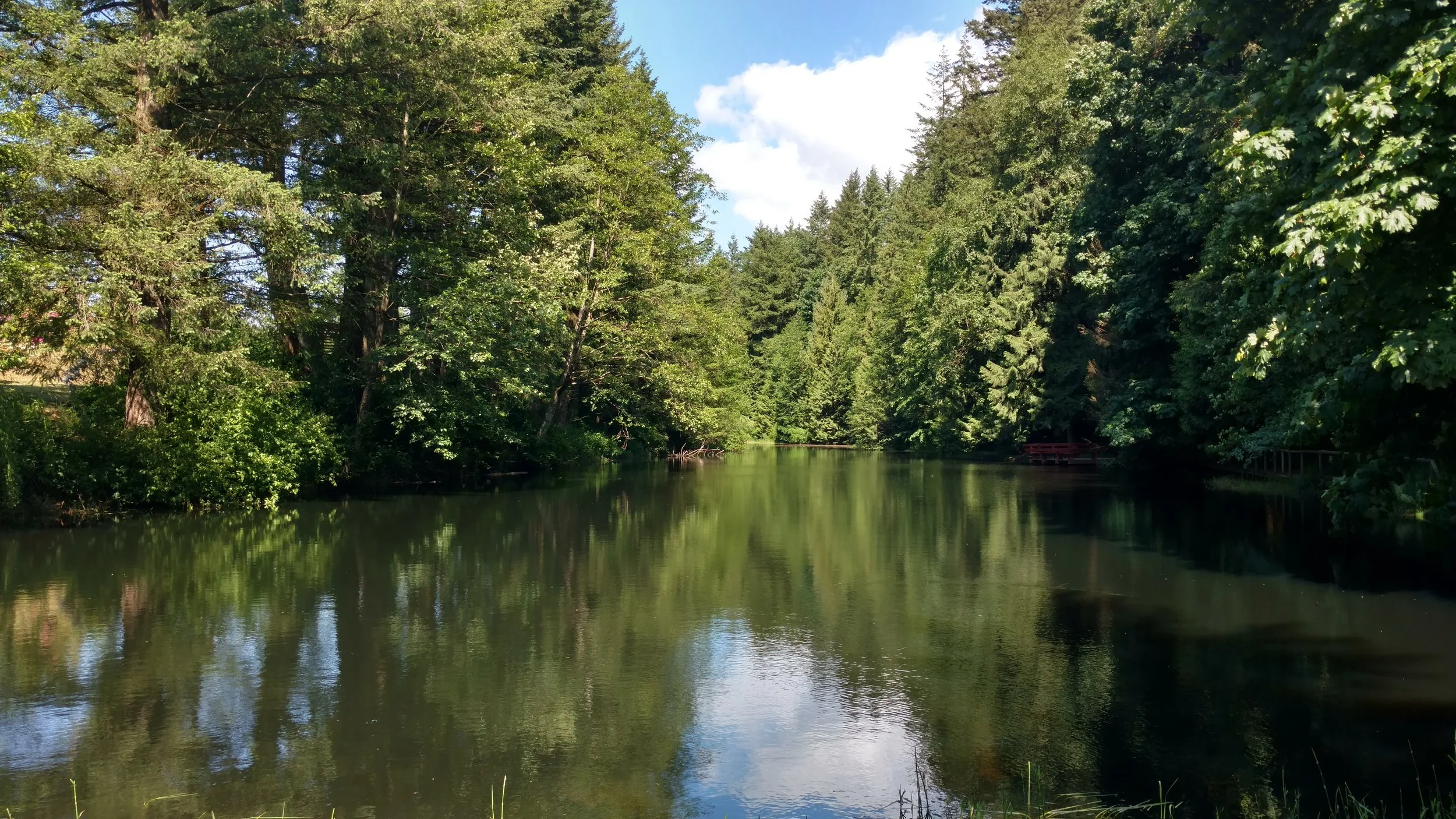 GALLERY — Cedar Springs