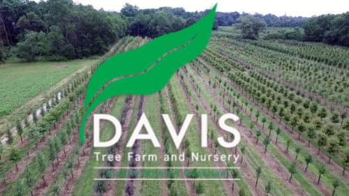 Nursery Staff — Davis Tree Farm & Nursery