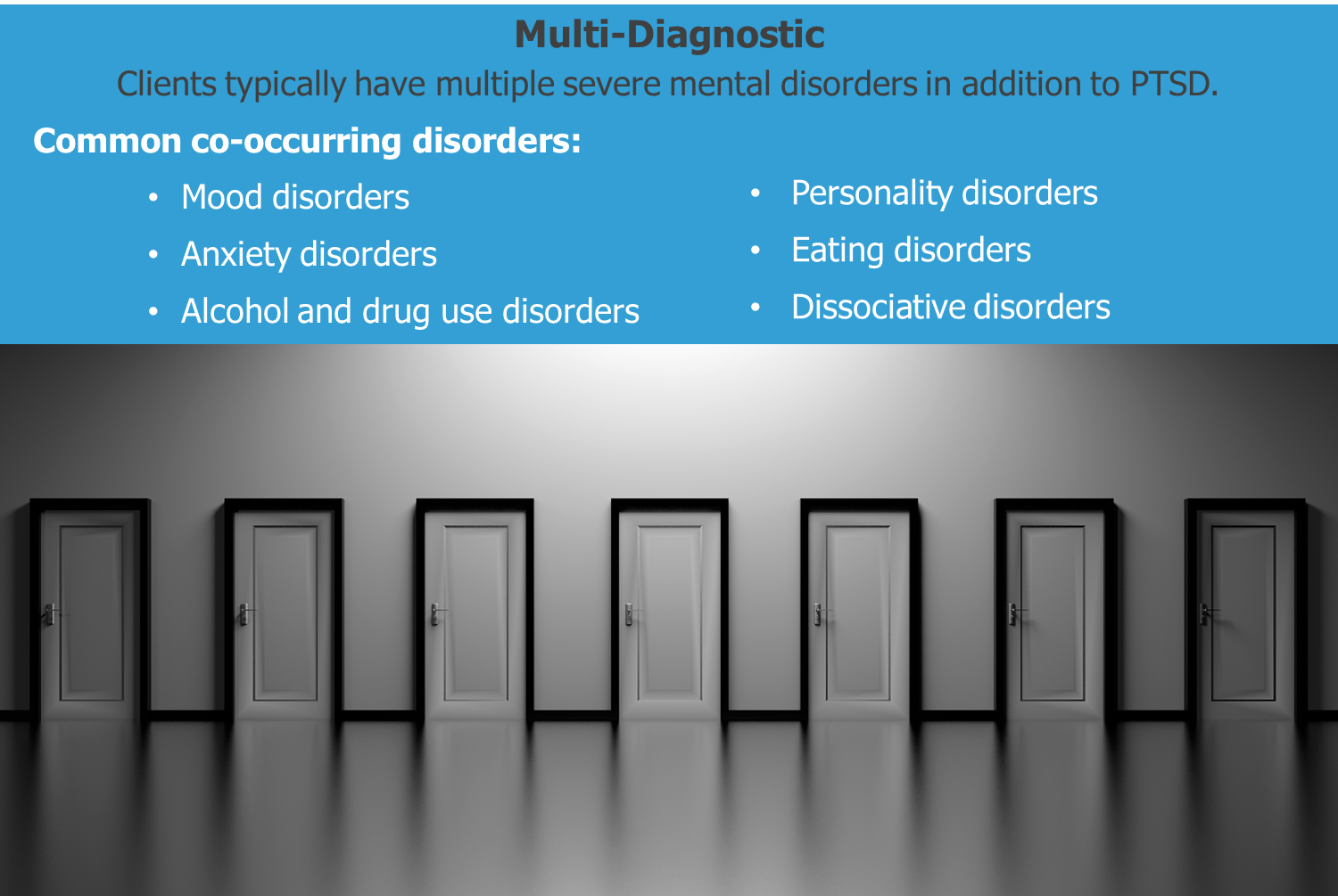 What is DBT PE? — DBT PE