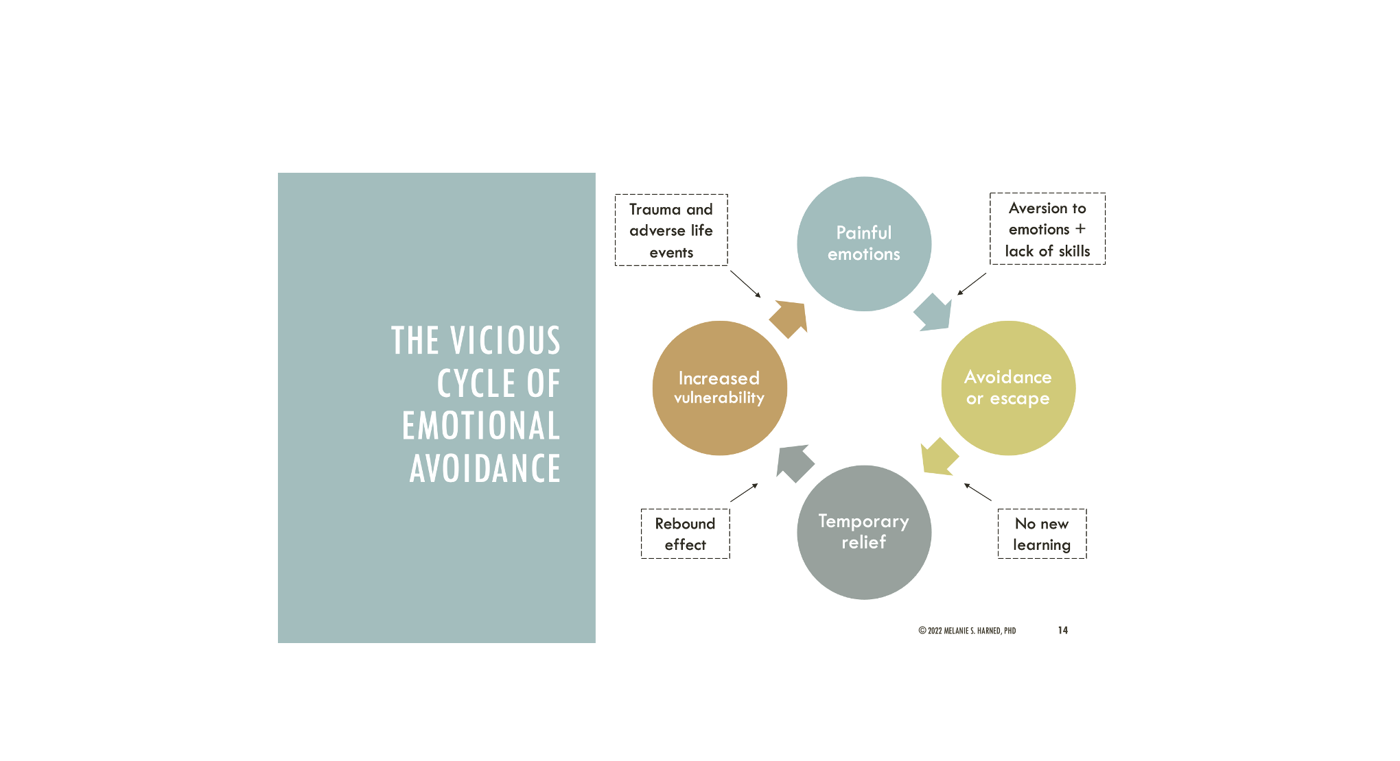 Understanding Emotional Avoidance Behavior Step 5 Slide Using Social