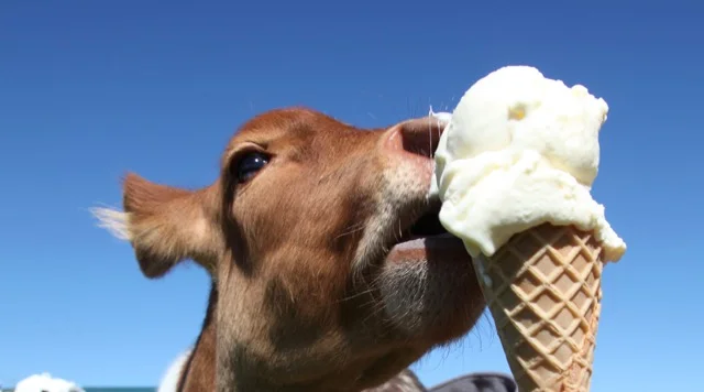 Rock Hill Orchard & Woodbourne Creamery