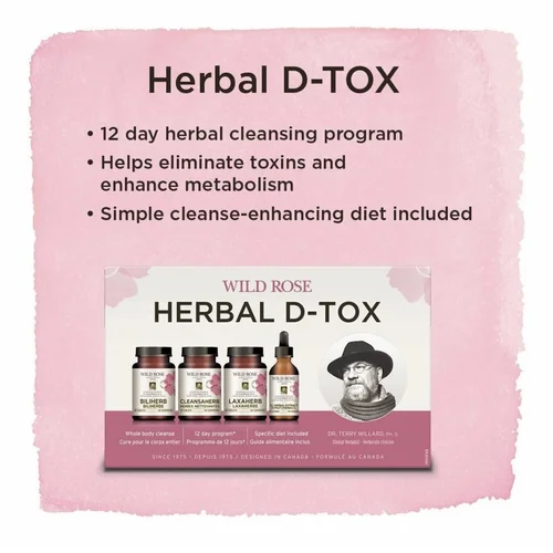 WILD ROSE DETOX: RECIPES AND TIPS — Chic Style Living