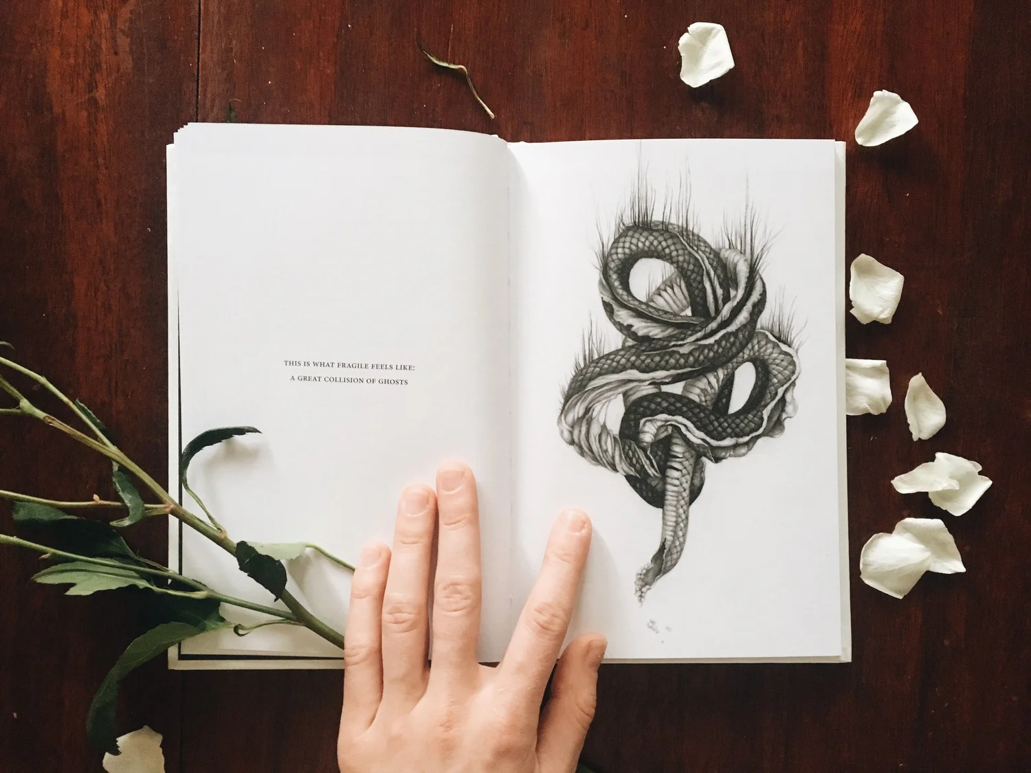 NEWS — CHRISTINA MROZIK