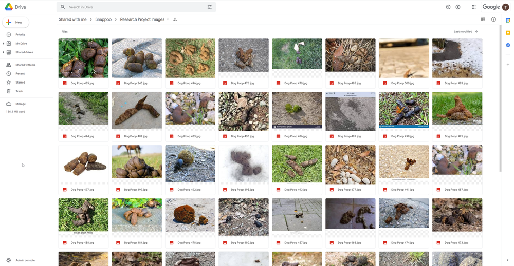 AI & Machine Learning for Dog Poop: The Snappoo Story | Daisy