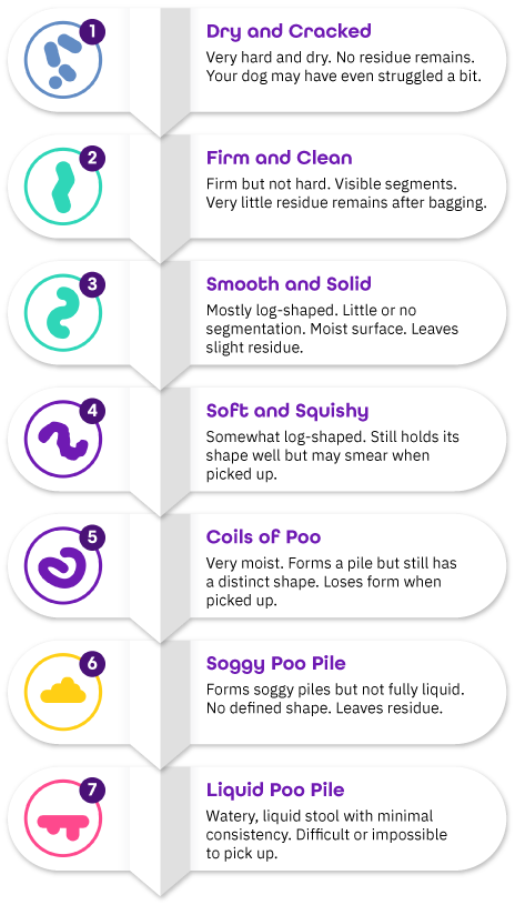 The Ultimate Guide to Dog Poop Consistency | Daisy