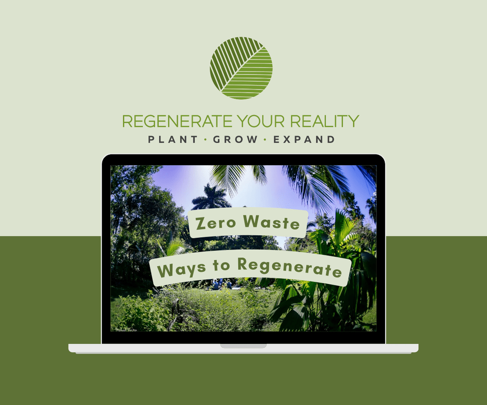 Zero Waste, Ways to Regenerate Online Course — Regenerate Your Reality
