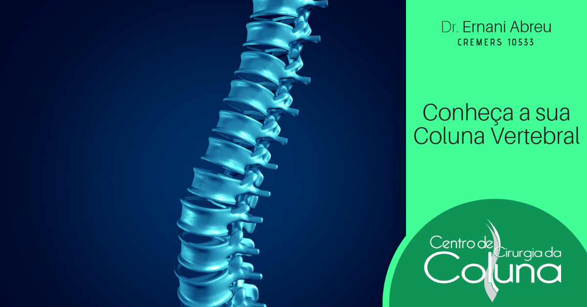 Vista Anterior Da Vertebra Do Eixo Tudo O Que Você Precisa Saber