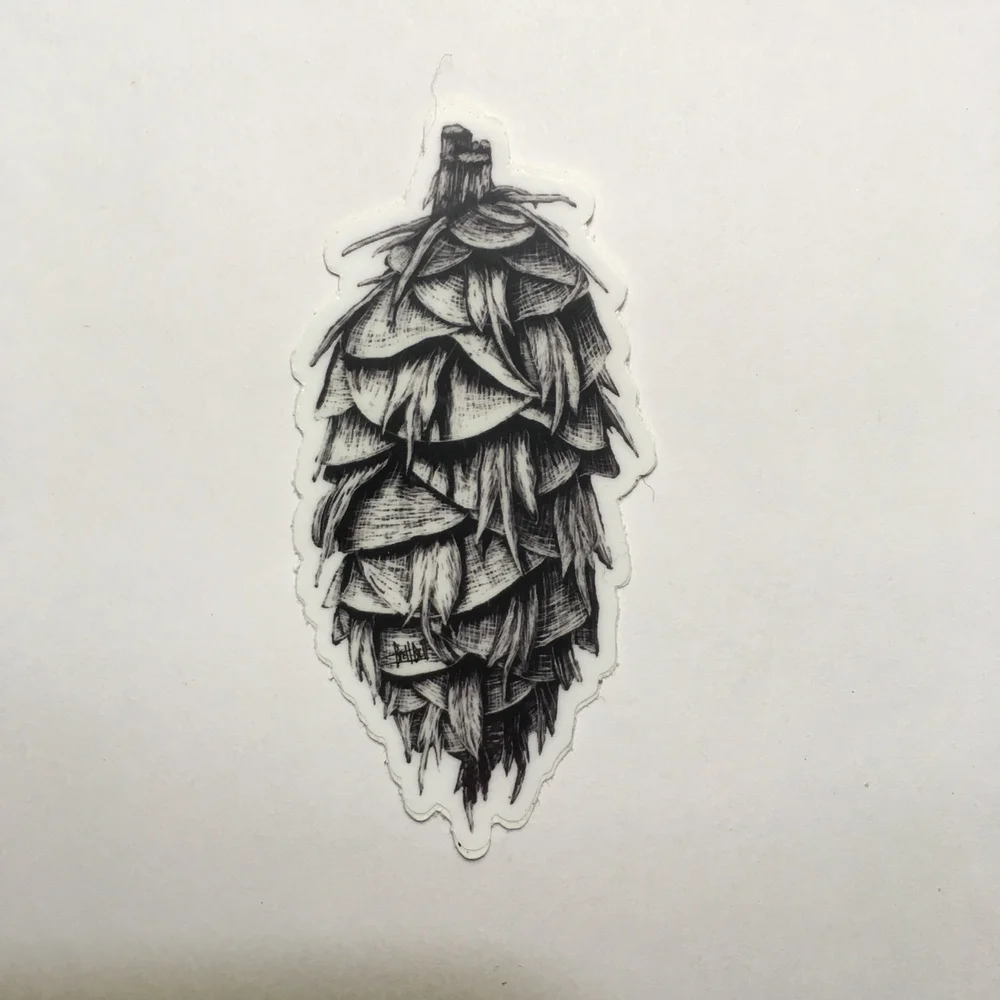 Subalpine Fir Cone