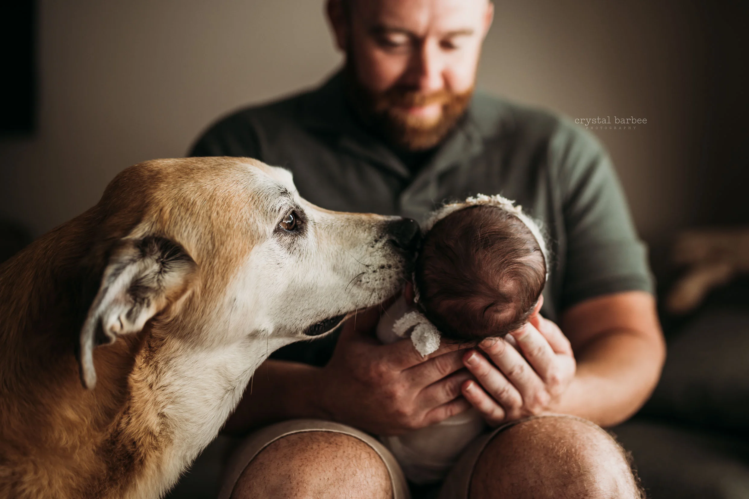 Galleries — Crystal Barbee Photography