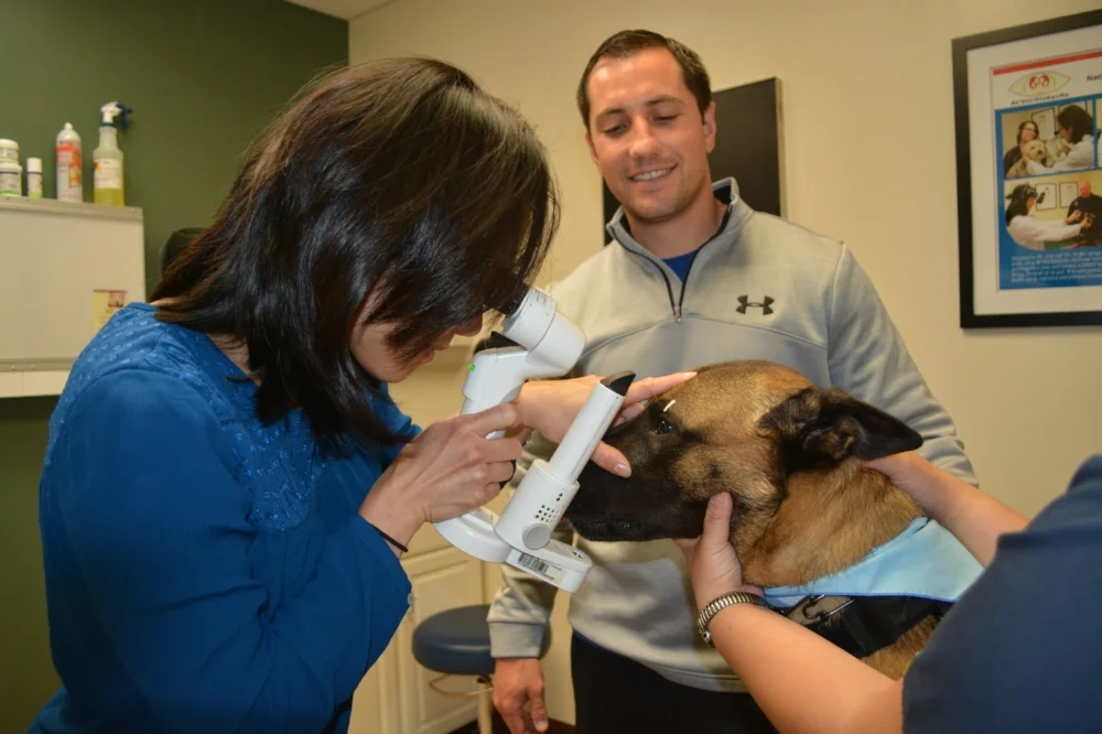 Certification — ACVO Public