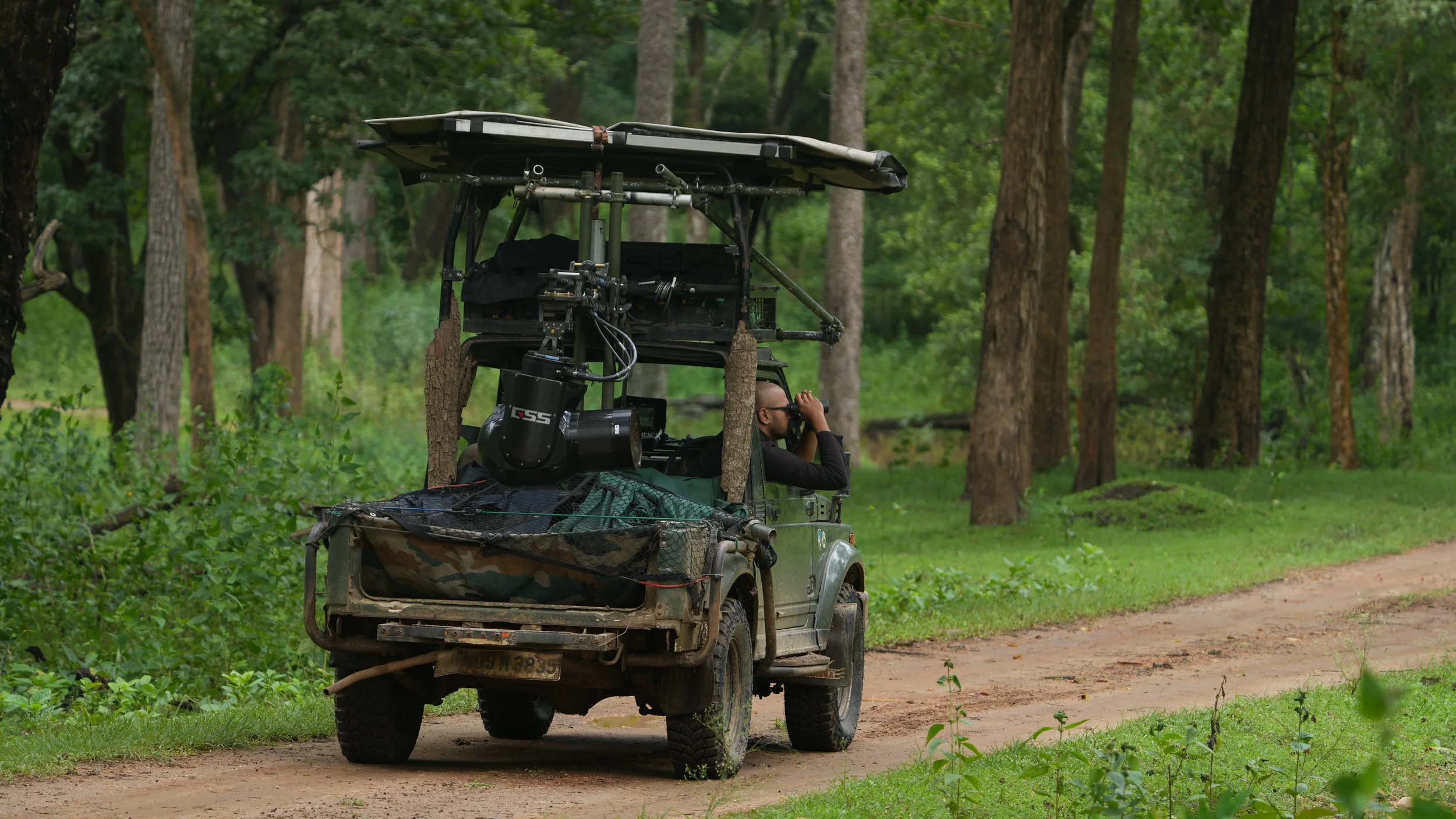 How Felis Creations Changed the Game for Wildlife Filming in India ...