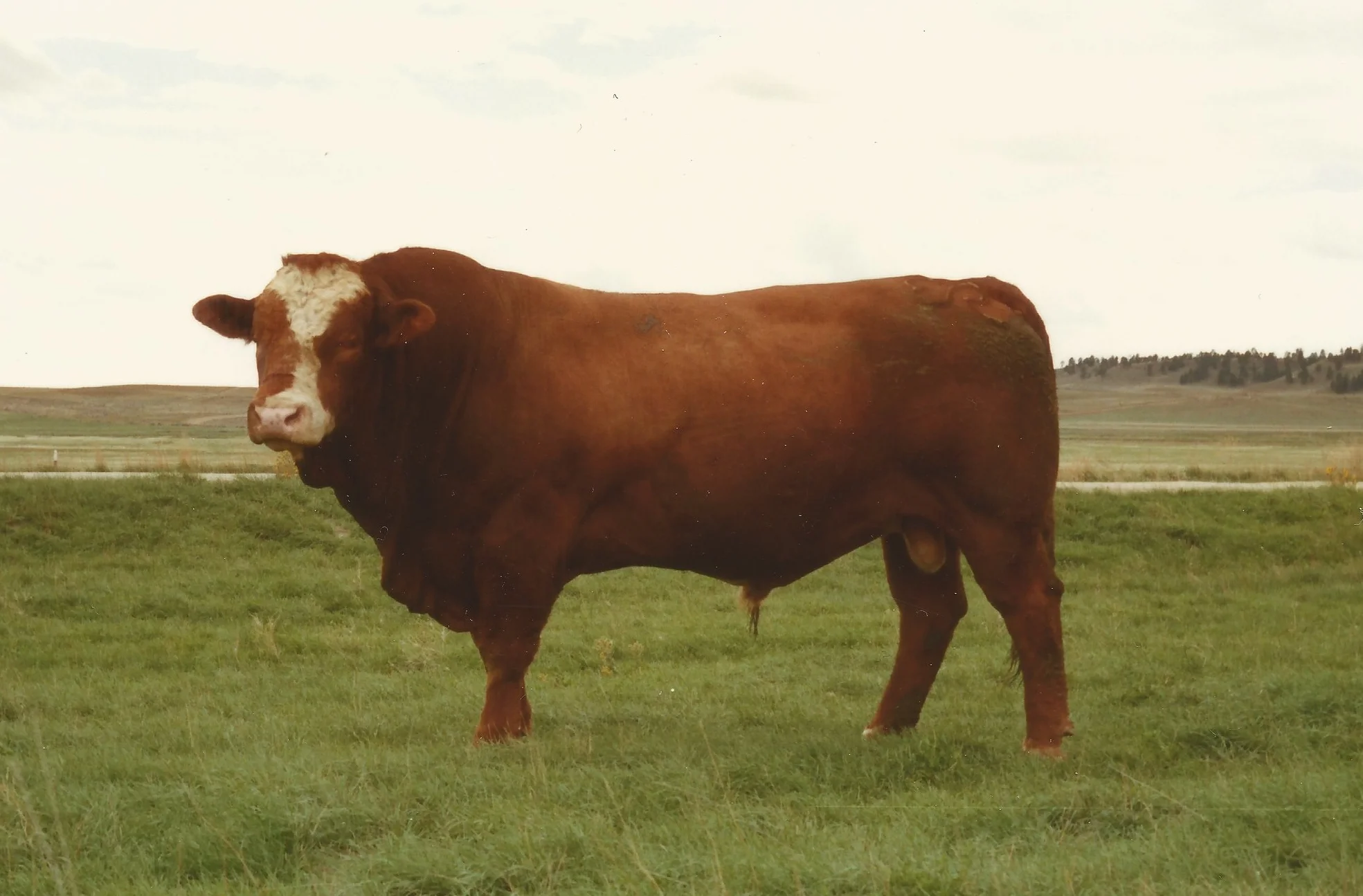 The Ranch — Emmons Ranch