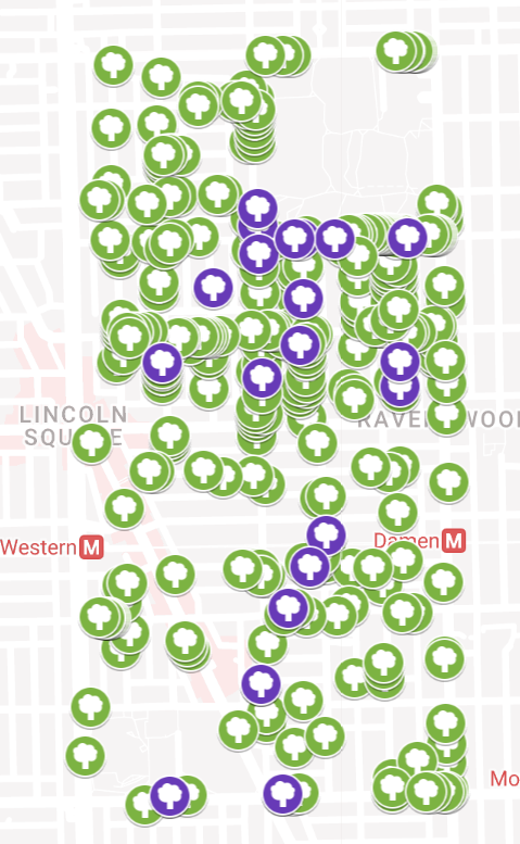 Save Your Ash: Protect Local Trees From Emerald Ash Borer — Heart of ...