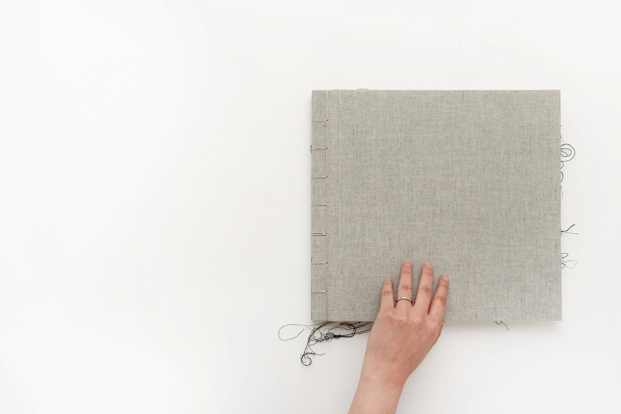 Still I rise 02 | Discover Resilience – View More Art — Negin Mahzoun
