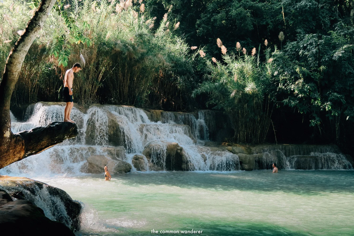 The Ultimate Kuang Si Falls Guide: What to See, Know, and Do | The ...