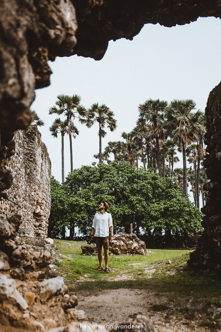 A Day Trip Guide to Delft Island, Jaffna’s Curious Coastal Island | The ...