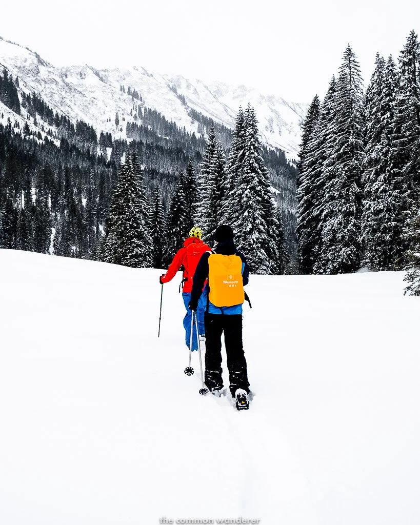When The World Turned White: Snowshoeing in Vorarlberg, Austria | The ...