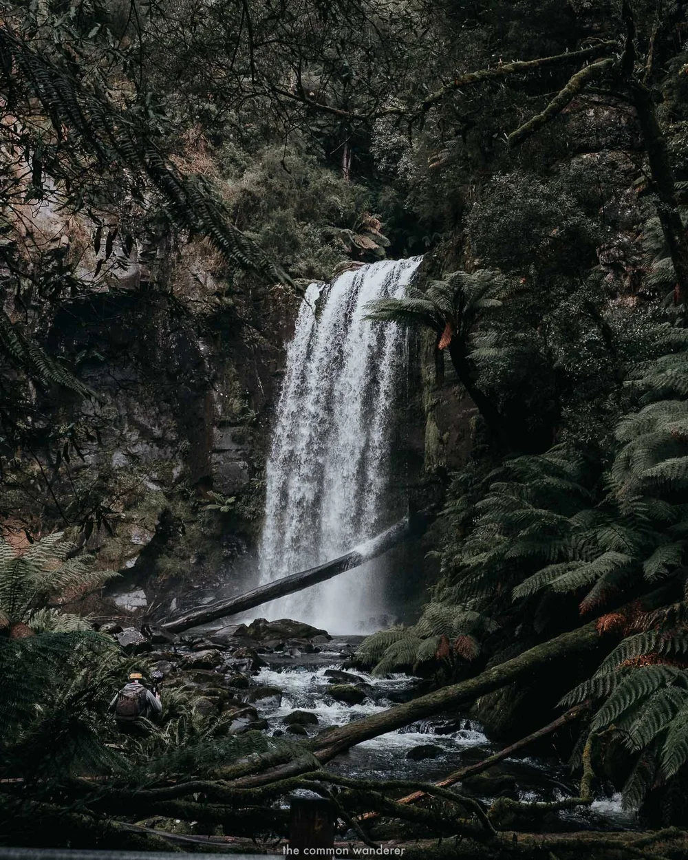 A guide to the Stunning Hopetoun Falls in the Otways, Victoria | The ...