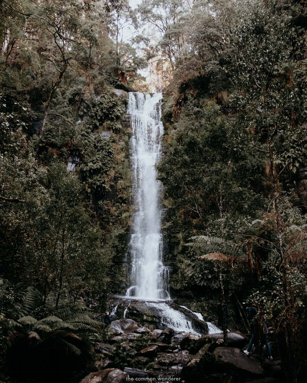 The Ultimate 7-Day Victorian Road Trip Guide | The Common Wanderer