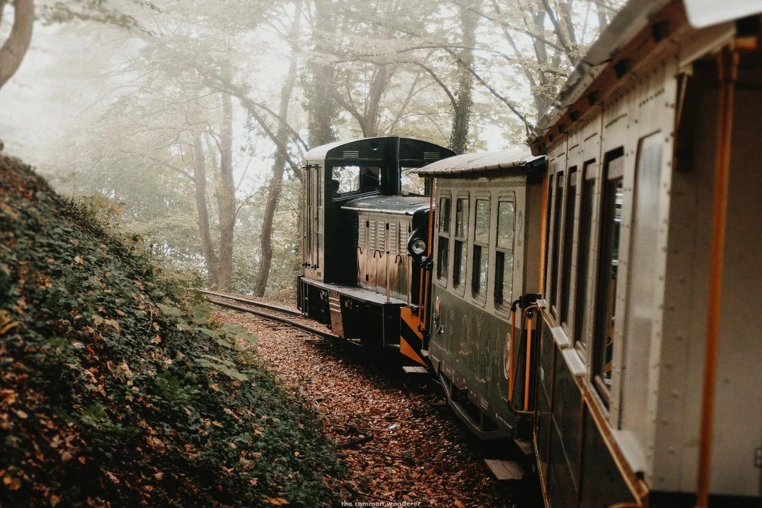 A Ride On The Enchanting Lillafüred Forest Train | The Common Wanderer
