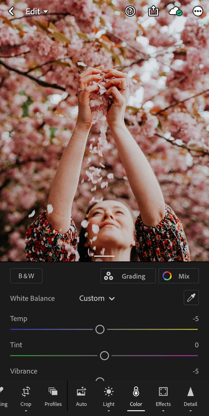 Here's Everything You Need To Know About Lightroom Presets | The Common ...
