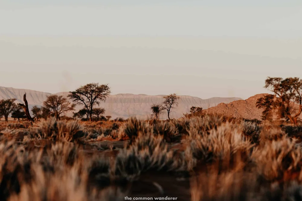 A Complete Guide To The Incredible Sossusvlei Dunes, Namibia | The ...
