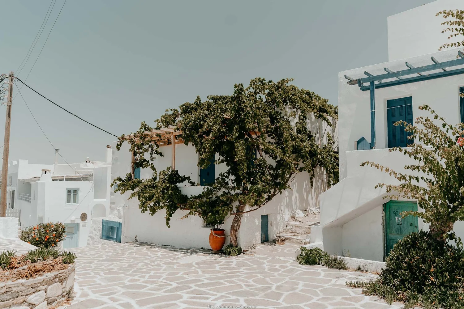Parikia, Paros: Better Than You've Heard (2026) | The Common Wanderer
