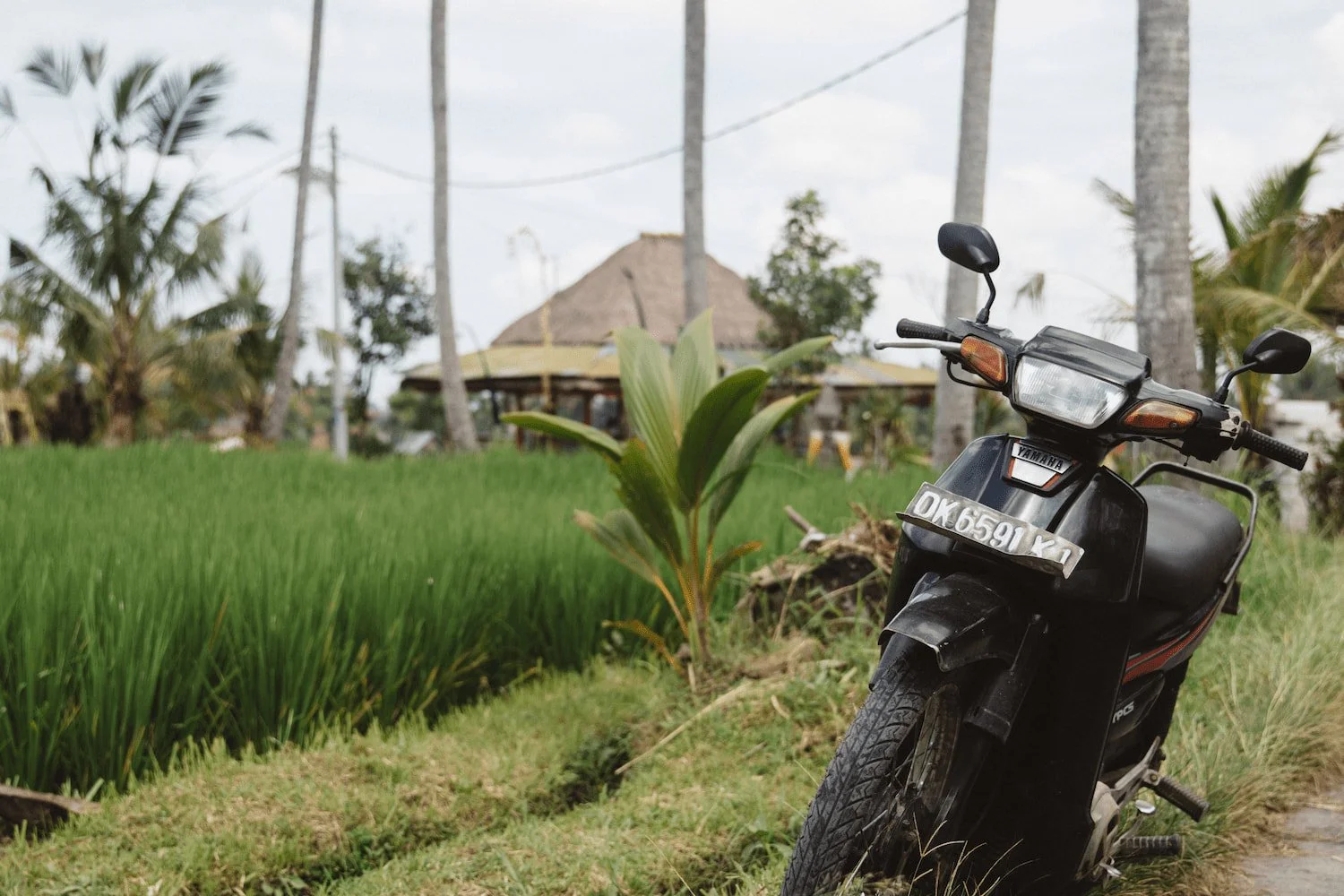 A First Timers Guide to Getting Around Bali | The Common Wanderer