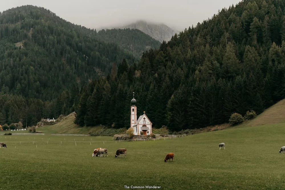 Discover the Colourful Medieval Town of Dozza, Italy | The Common Wanderer