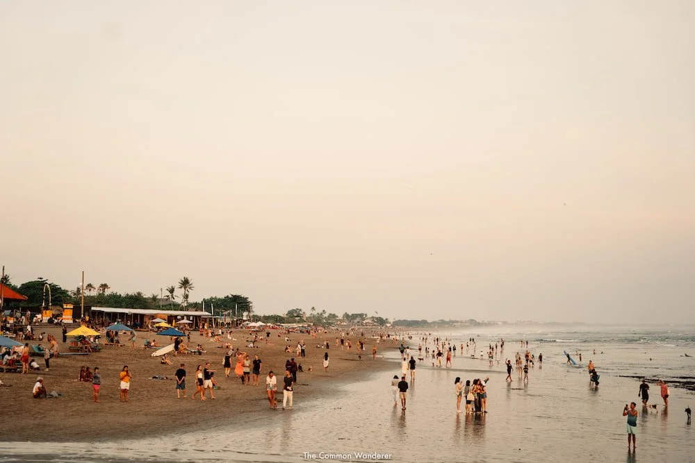 10+ Wonderful Things to do in Ubud, Bali | The Common Wanderer