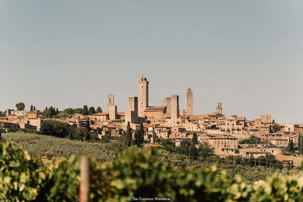 Discover the Colourful Medieval Town of Dozza, Italy | The Common Wanderer