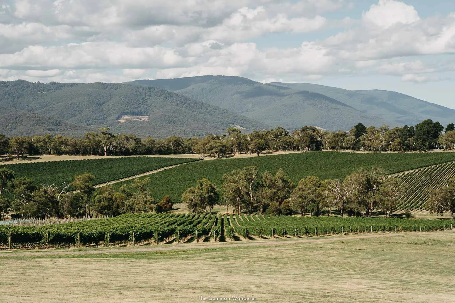 10 + Incredible Things To Do In Warburton, Victoria (Where To Eat ...