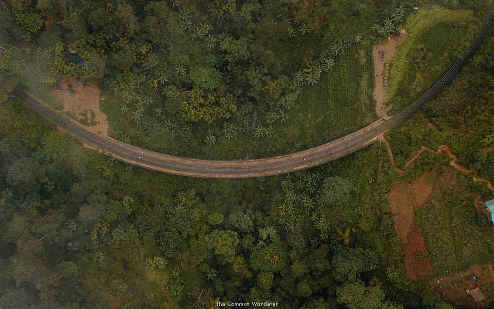 How To Visit Ella's Stunning Nine Arch Bridge (2023 Guide) | The Common ...