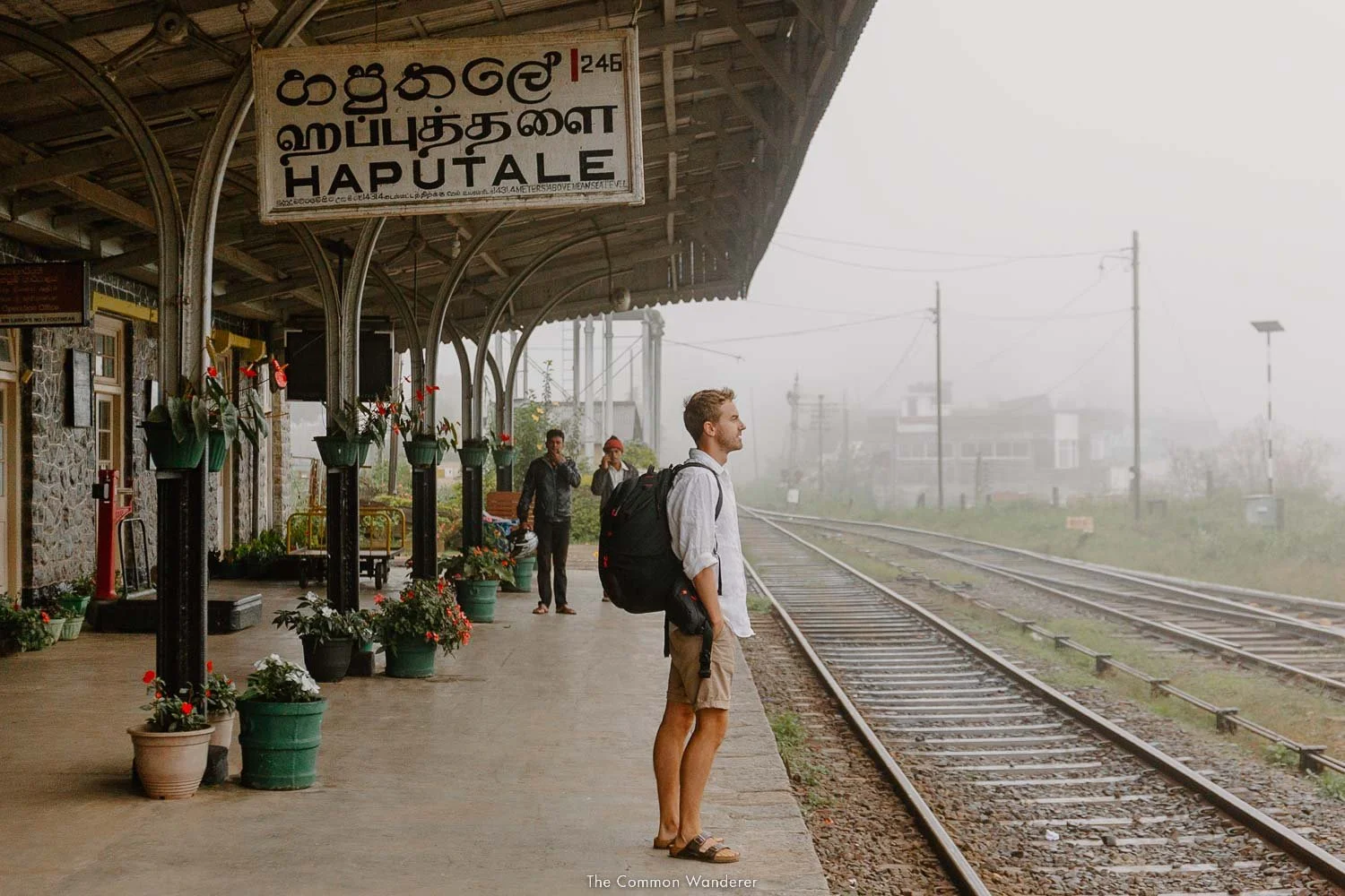 ELLA, SRI LANKA: 13+ Incredible Things To Do In Ella | The Common Wanderer