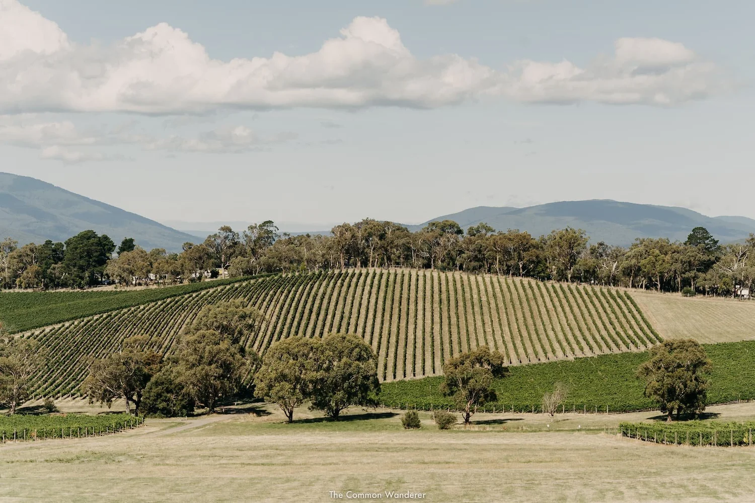 10 + Incredible Things To Do In Warburton, Victoria (Where To Eat ...