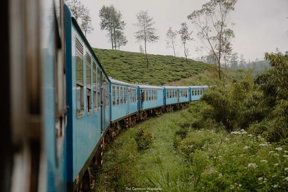 KANDY TO ELLA TRAIN: Complete 2024 Guide + How To Book | The Common ...