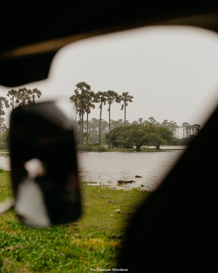 How To Visit Delft Island, Jaffna's Curious Coastal Island | The Common ...