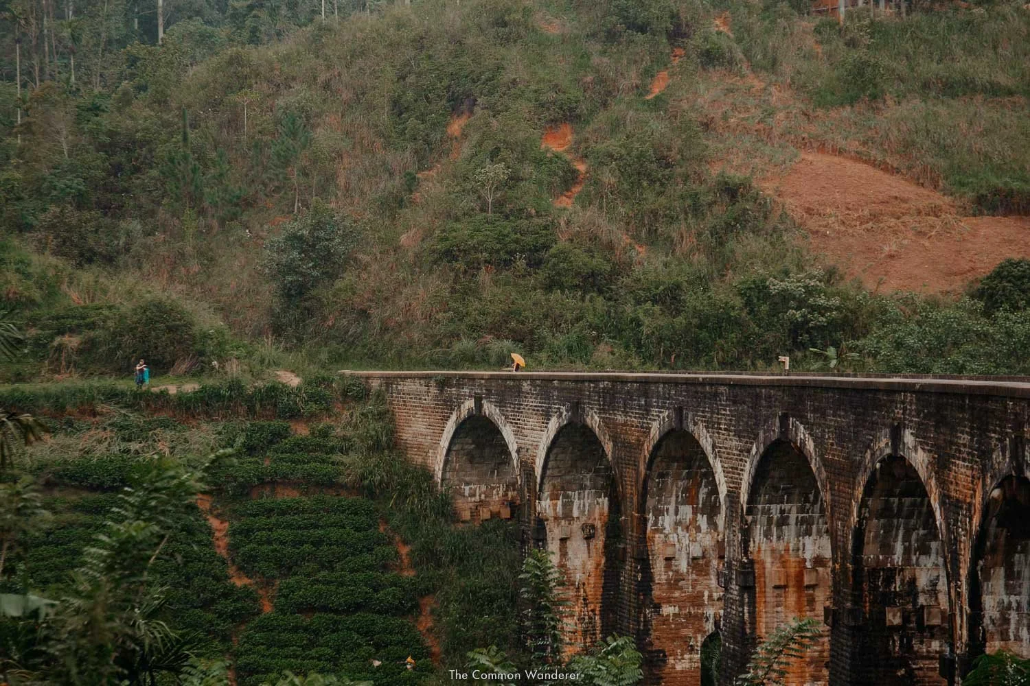 How To Visit Ella's Stunning Nine Arch Bridge (2025 Guide) | The Common ...