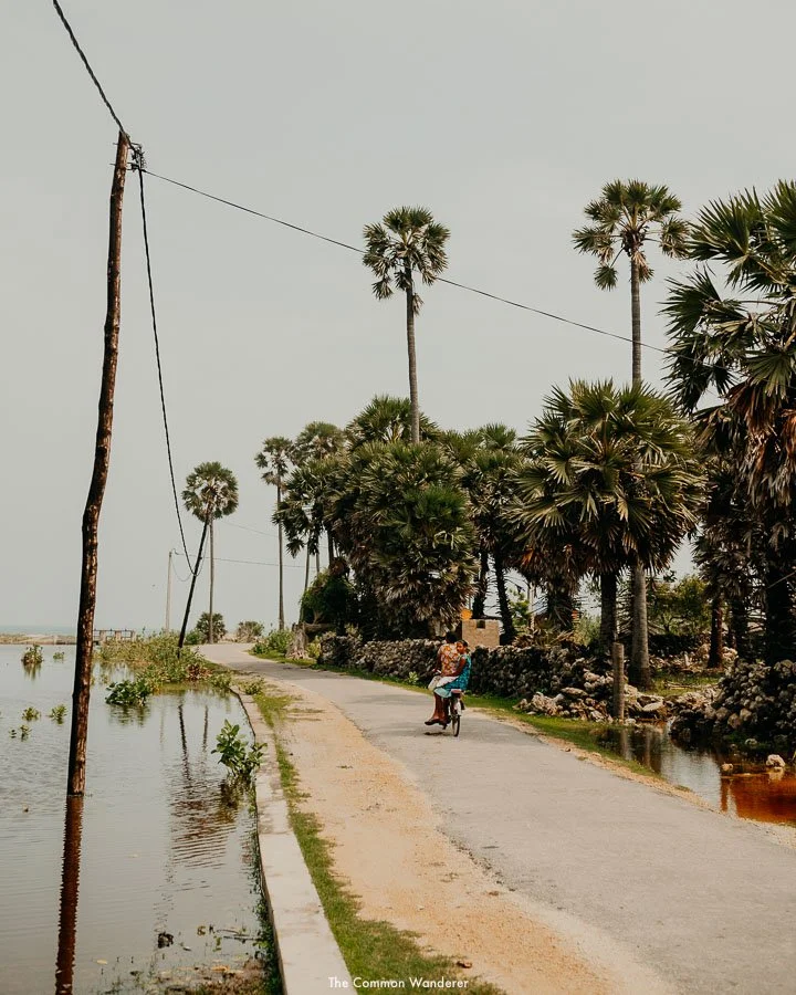 How To Visit Delft Island, Jaffna's Curious Coastal Island | The Common Wanderer