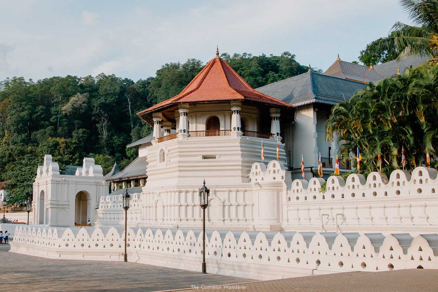 How to Get From Colombo to Kandy: Train, Bus & Taxi | The Common Wanderer