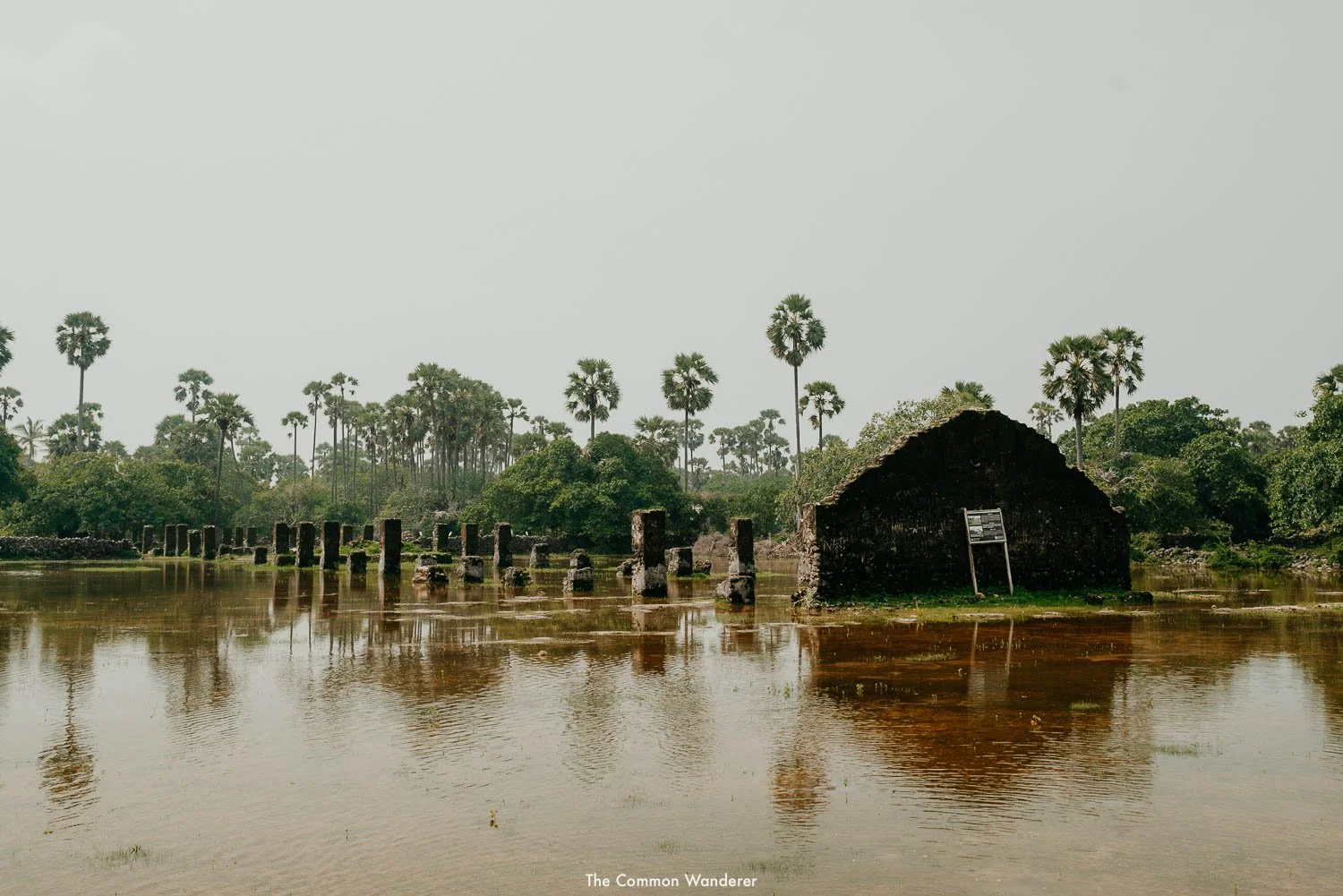 How To Visit Delft Island, Jaffna's Curious Coastal Island | The Common ...