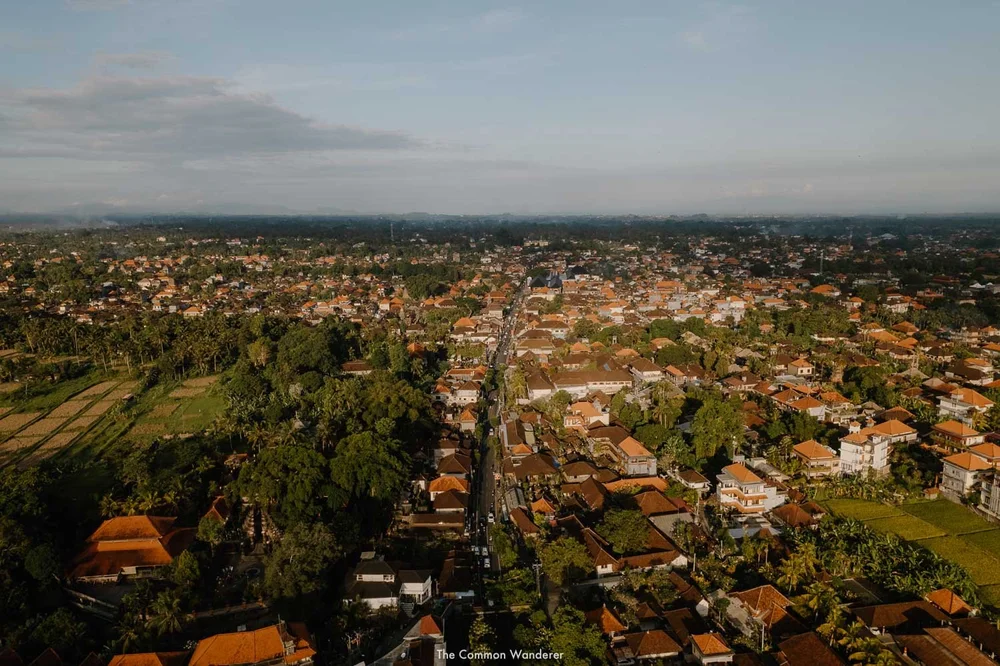 10+ Wonderful Things to do in Ubud, Bali | The Common Wanderer