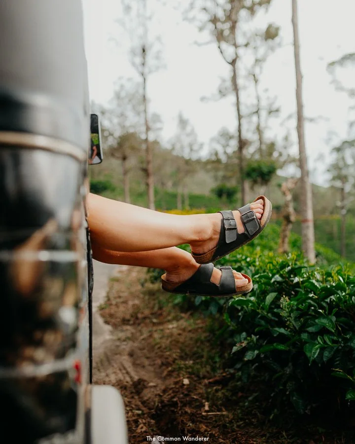 Diyaluma Falls Guide: Exploring Sri Lanka's 2nd Tallest Waterfall | The ...